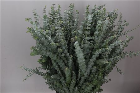 Greens